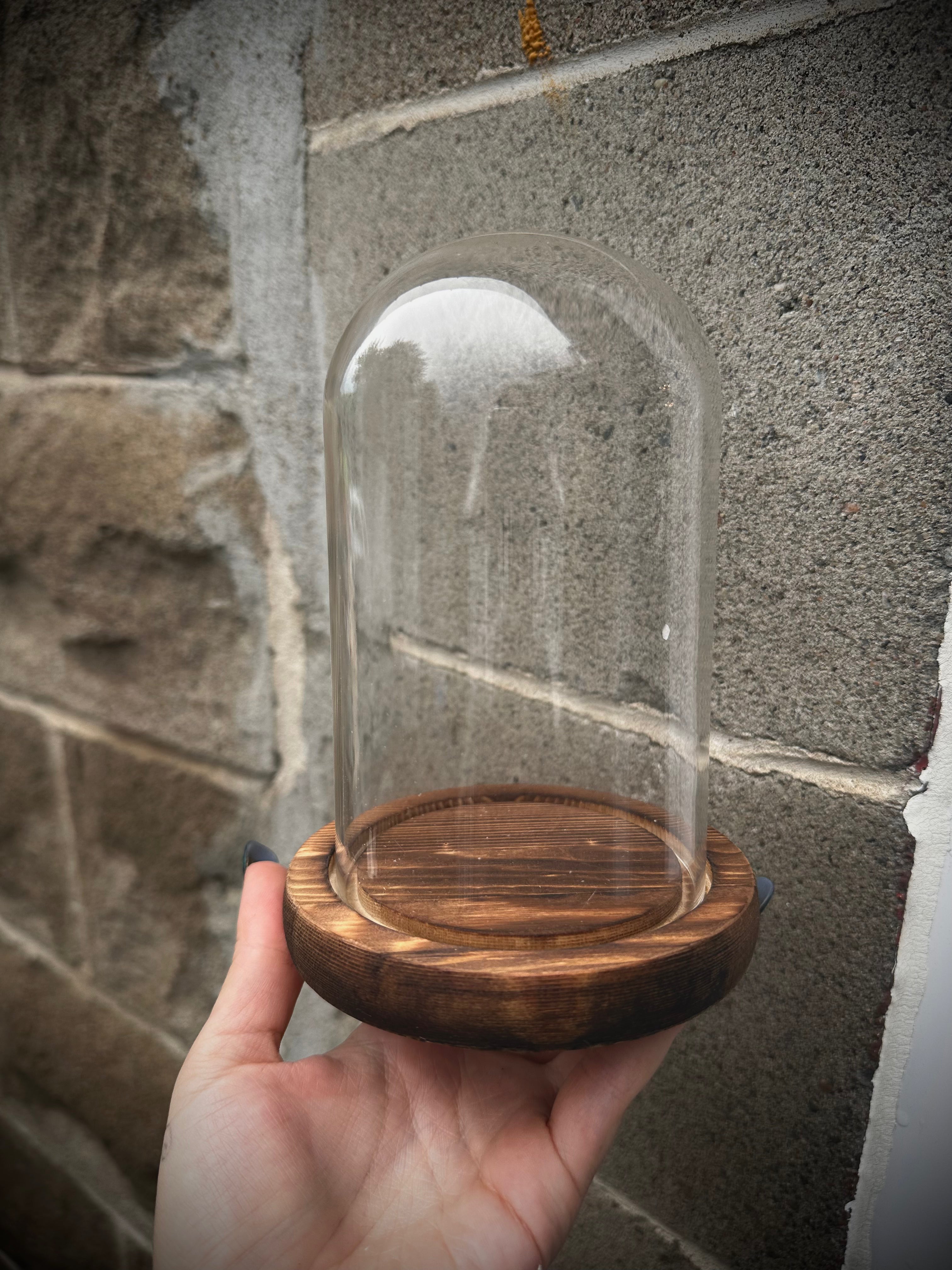 Glass dome empty 6x3 inch – Tocb-mtl