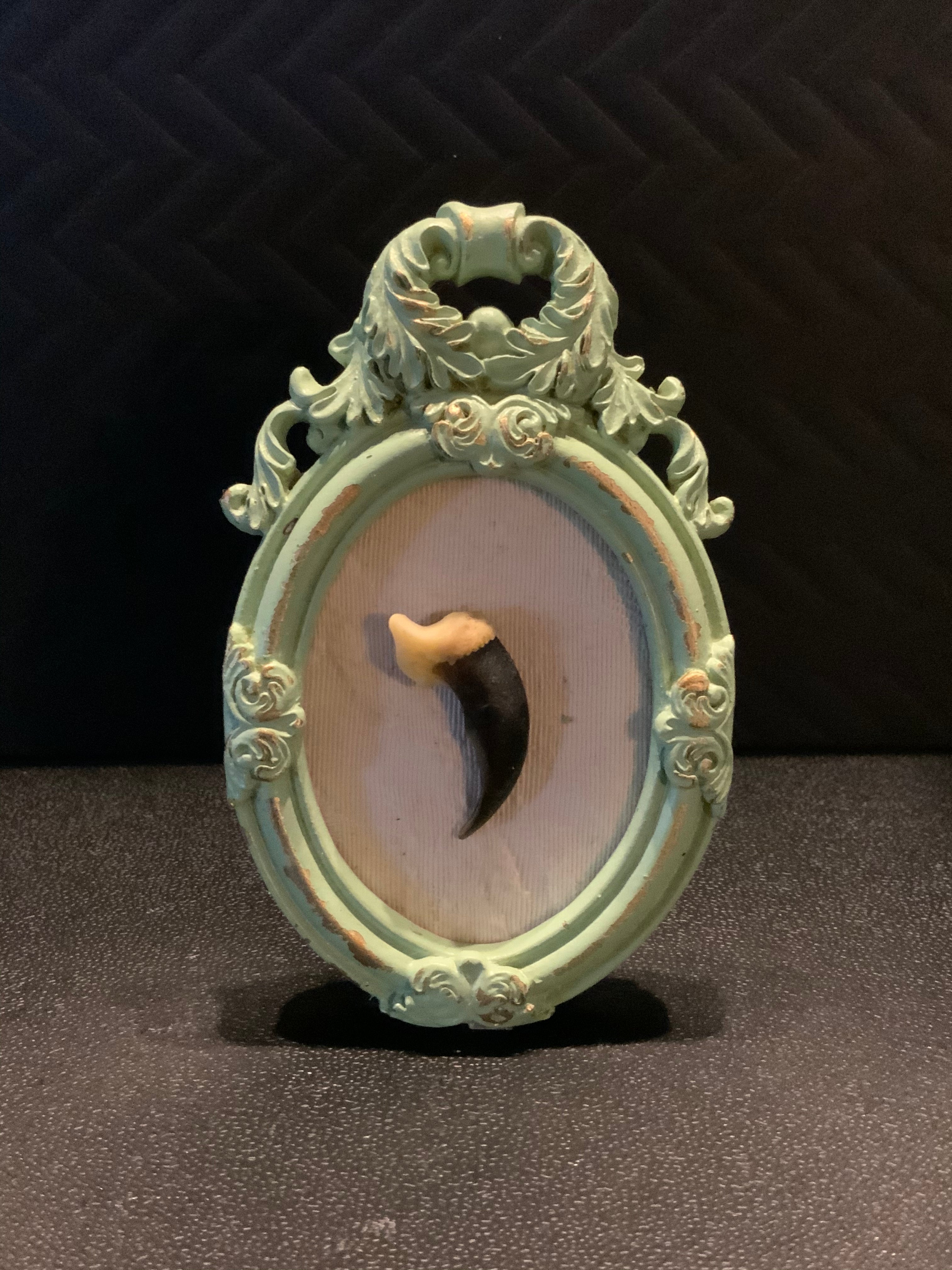 Real framed wolf claw – Tocb-mtl